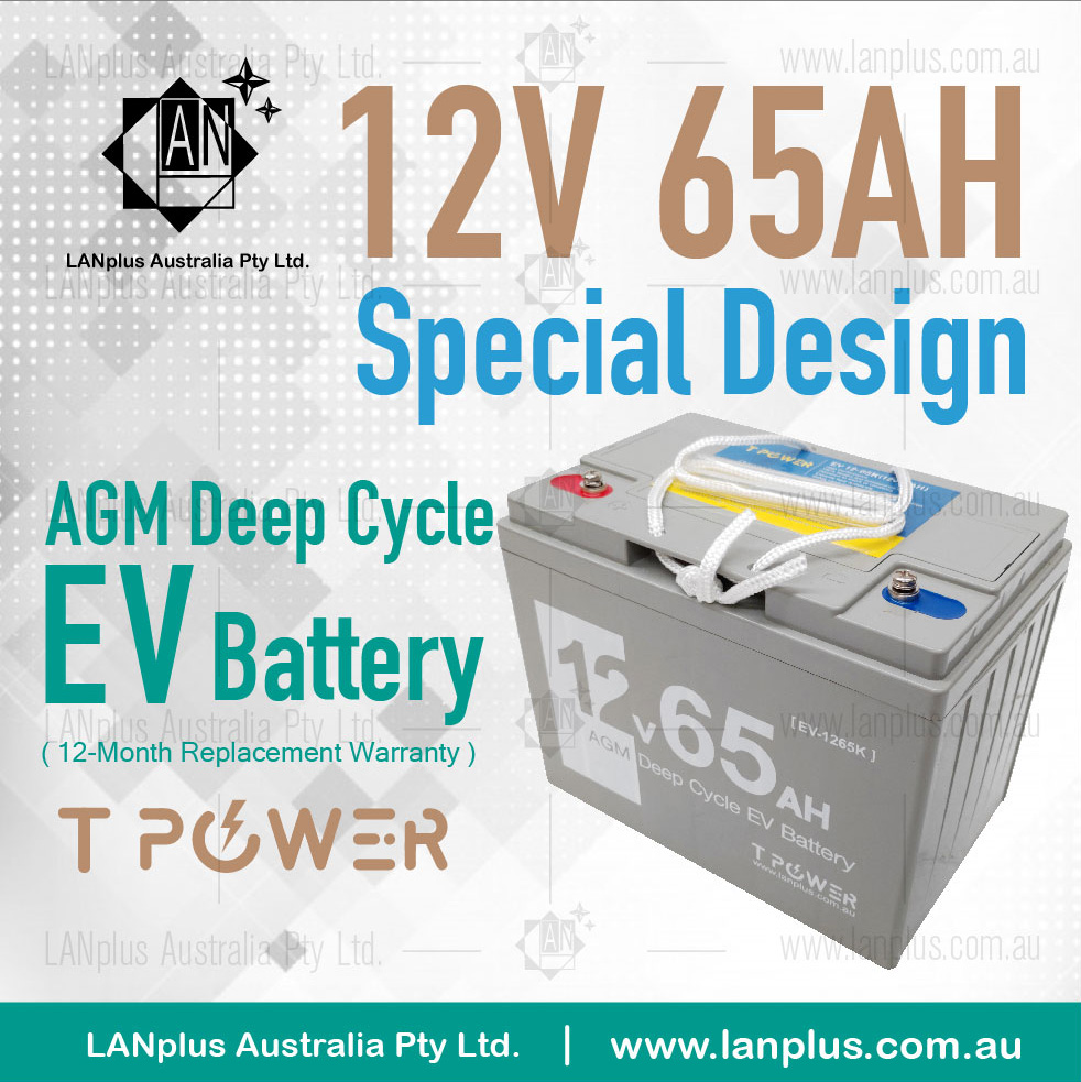 12V_65AH_EV